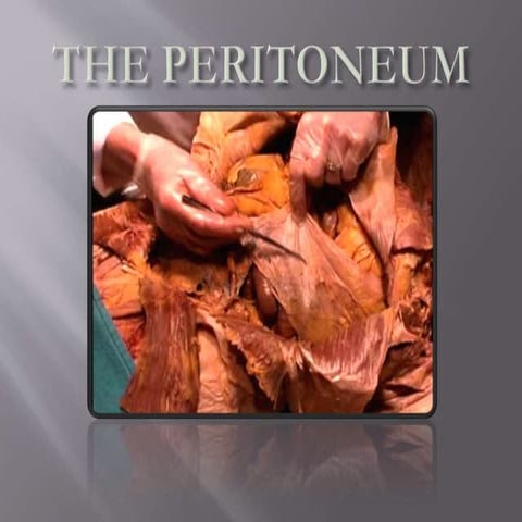 Peritonium (anatomy and physiology and pathology) | PPTX