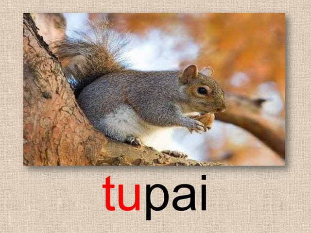 Trek olahraga 200meter skbl2 | PPTX