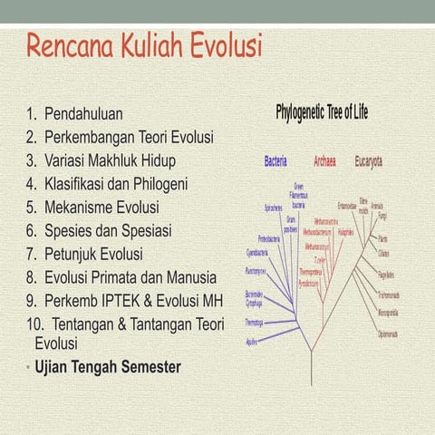 Makhluk Manusia Teori Evolusi dan Sejarah Perkembangan Manusia Serta ...