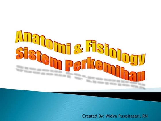 Anatomi & fisiologi sistem urinaria | PPTX
