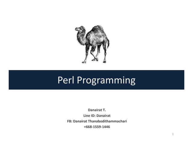Perl Programming 01 Basic Perl Ppt 1256