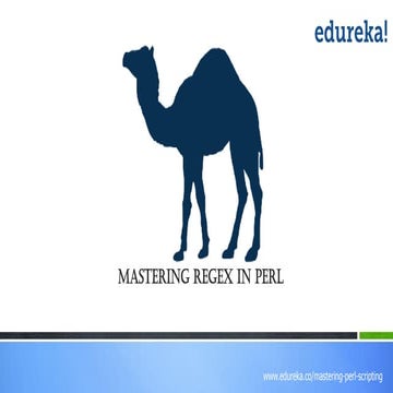 Mastering Regex In Perl Ppt