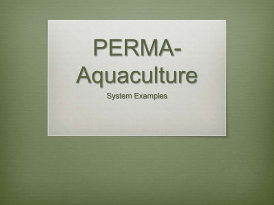 Star Wars Group Process | PPT