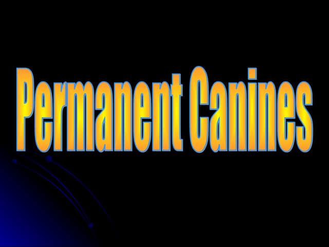 PERMANENT MAXILLARY CANINE | PPTX