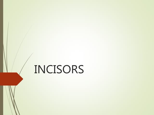 Maxillary central incisor (ORAL ANATOMY) | PPTX