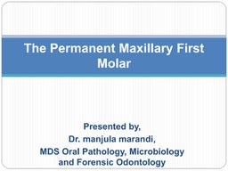 Maxillary Molars | PPT