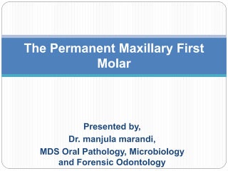 Maxillary Molars | PPT