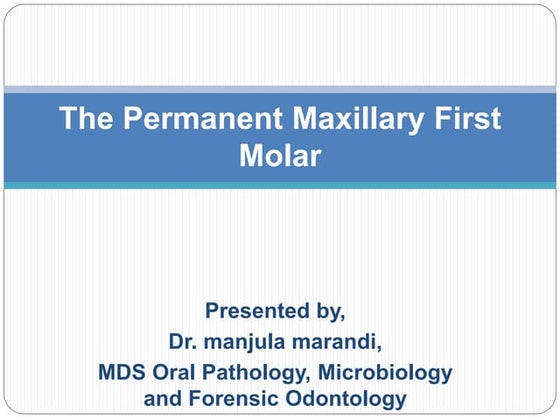 The Permanent Maxillary First Molar | PPT