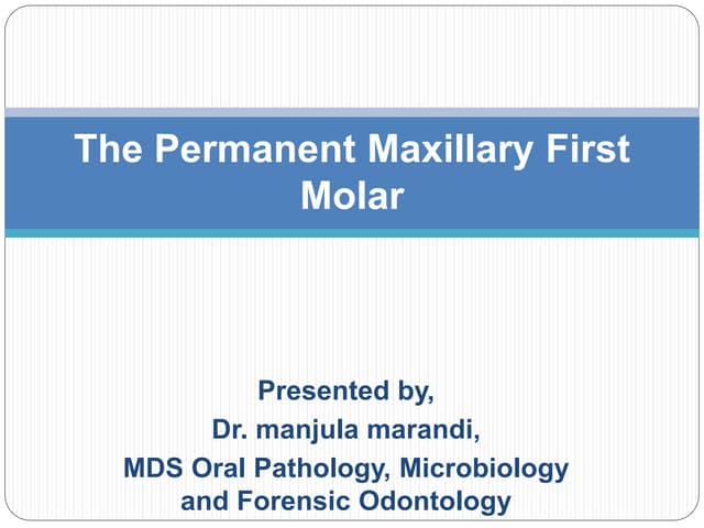 Morphology of Human Deciduous Maxillary Molar Tooth | PPT