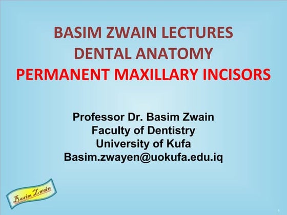 morphology of Maxillary central and lateral incisors teeth | PPT