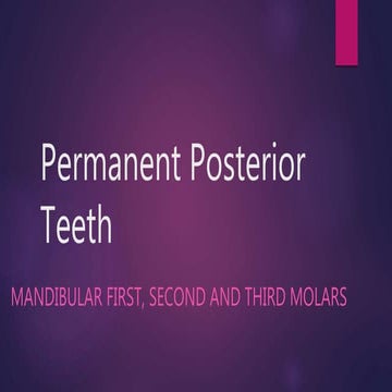 Upper First Molar | PPT