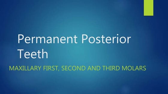 The Permanent Maxillary First Molar | PPT