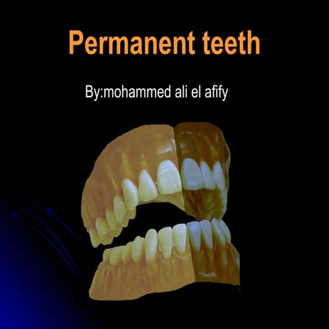 Permanent teeth Anatomy | PPT