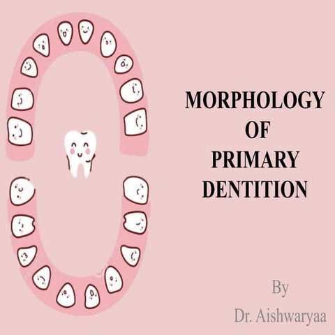 Permanent teeth Anatomy.pptx