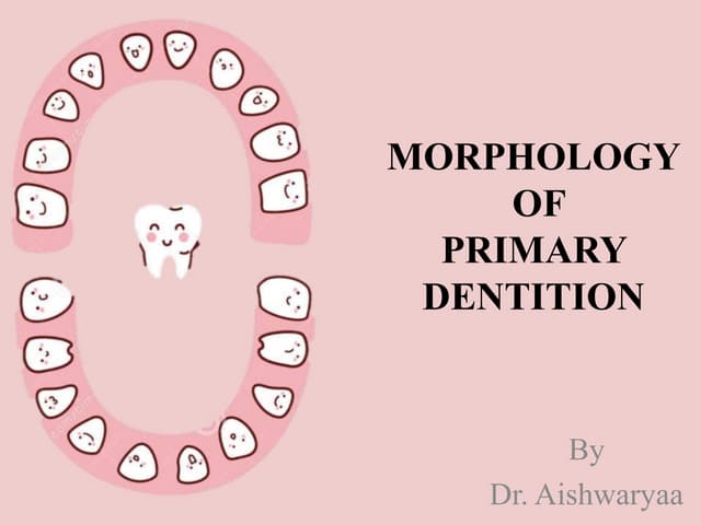 Differences between primary and permanent teeth | PPTX