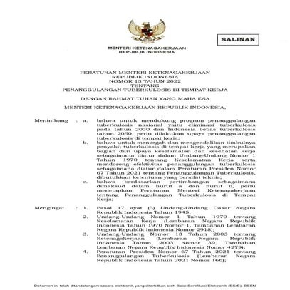 Permenaker no 13 2022 tentang TB di tempat kerja.pdf