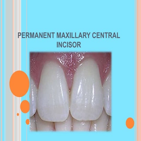 Permanent Maxillary Central Incisor | PPTX