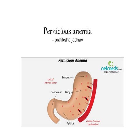Pernicious anemia.pptx BY , MS.JADHAV PRATIKSHA TUTOR BEL AIR COLLEGE ...