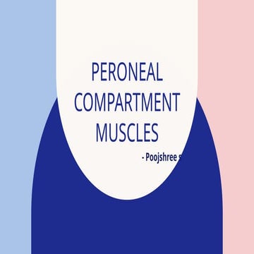Peroneal Compartment Muscles must look at this | PPTX
