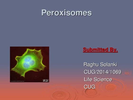 Peroxisomes | PPT