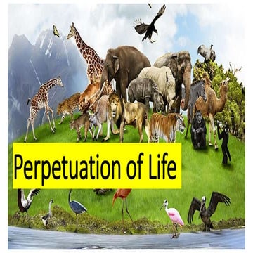 Perpetuation of Life.ppt | Reproductive Health | Diseases and Conditions