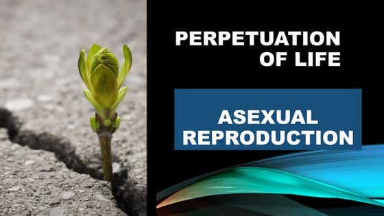 sci 7 q2 2 Use proper techniques in observing and identifying the parts ...