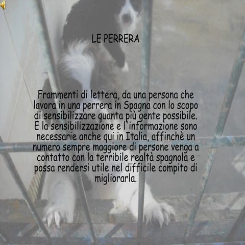 Perrera | PPT | Dogs | Pets