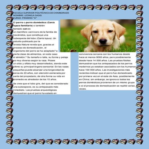Los perros | PPTX