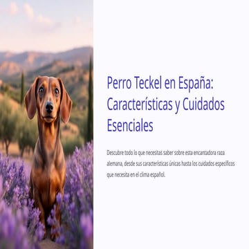 Perro Teckel: cuidados, precio y consejos esenciales para esta raza en ...