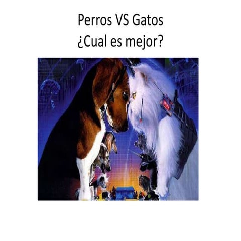 Perros vs gatos | PPSX