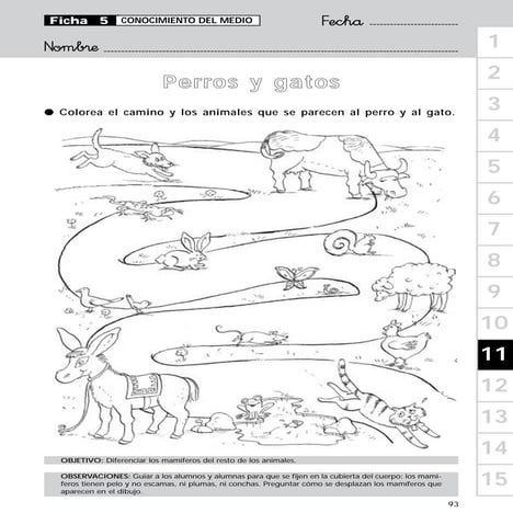 Perros y gatos | PDF