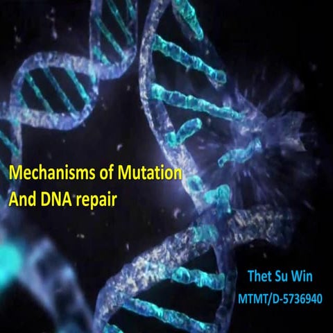 Mutation and DNA repair | PDF