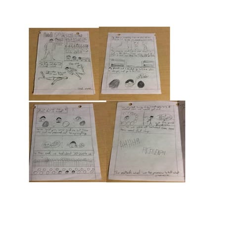 Persepolis full | PDF