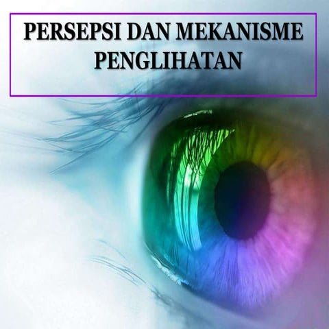 Persepsi dan Mekanisme penglihatan | PPT