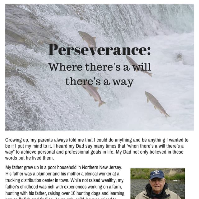 Perseverance (1) | PDF