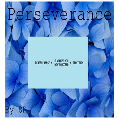 Perseverance | PDF