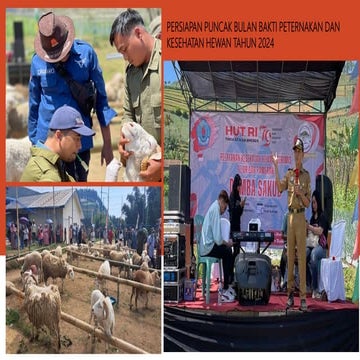 Persiapan_Kontes_Domba dalam rangka bulan bapdf | PDF