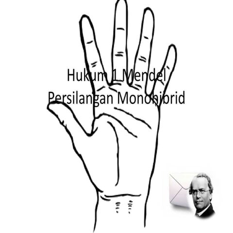 Persilangan monohibrid | PPTX