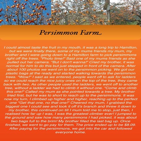 Persimmon | PDF