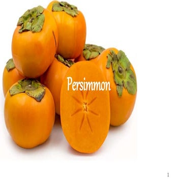 Persimmon | PPTX