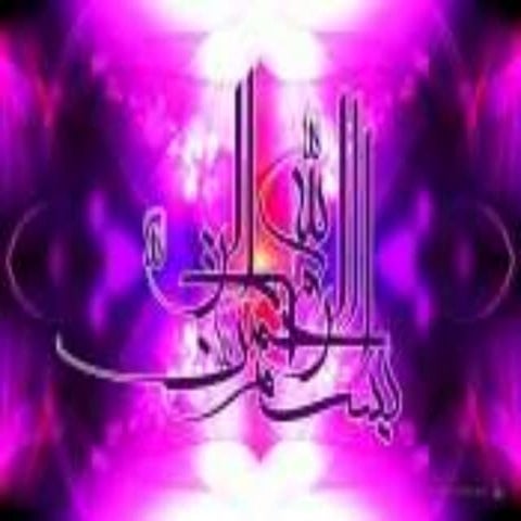 Persimmon insects A Lecture To ToT trainees ( FFS) By Mr. Allah Dad ...