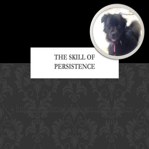 The Skill of Persistence | PPT
