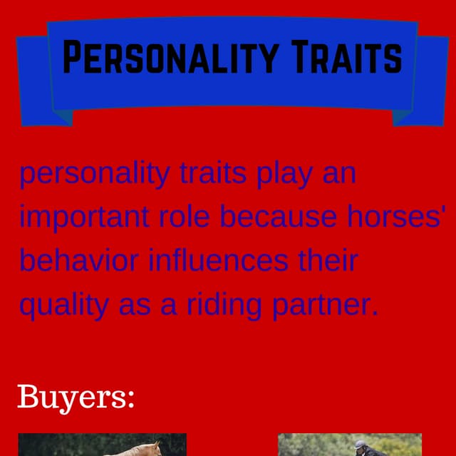 Horse Personality Traits | PDF