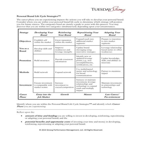 Personal Brand Life Cycle Strategies | PDF