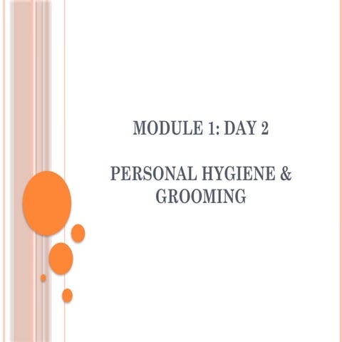 Personal Hygiene and Grooming | PPTX
