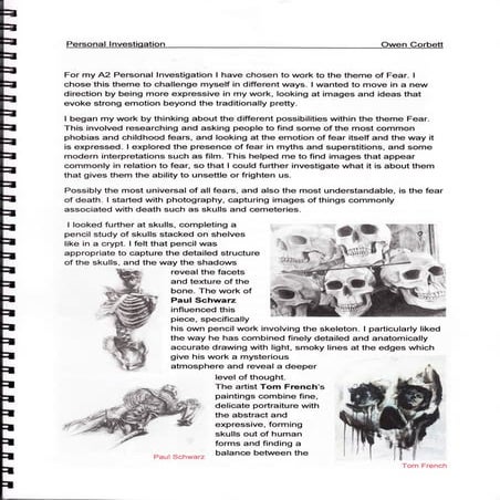 Personal investigation | PDF