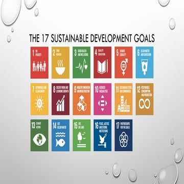 Personal Sustainable Development Goal.pptx