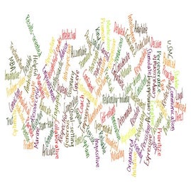 Personal Word Cloud | PPT