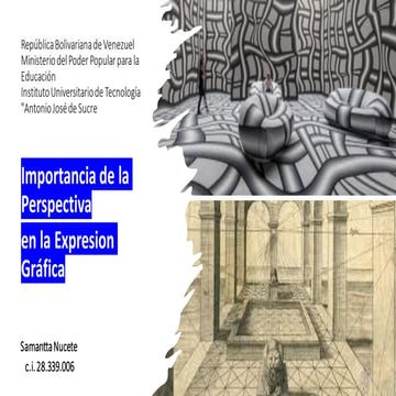 Perspectiva.pdf