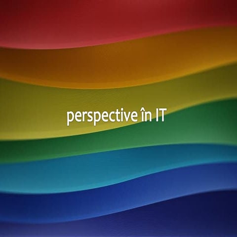 Perspective in IT | PDF